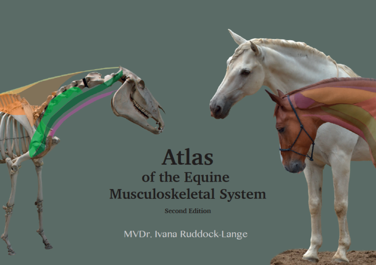 Atlas of the Equine Musculoskeletal System 2nd Edition Online ONLY ...